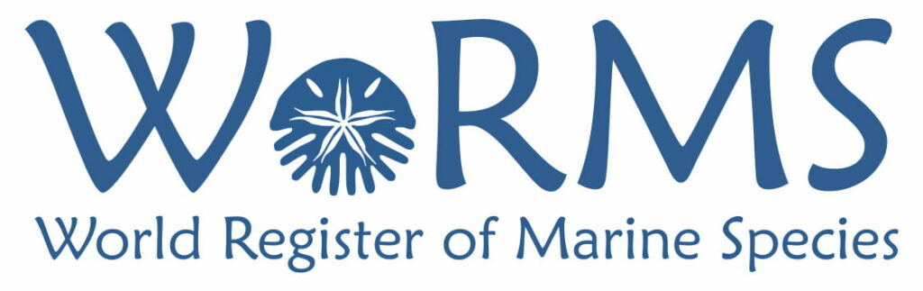 Perbrinckia cracens - Freshwater Biodiversity Portal of Bangladesh