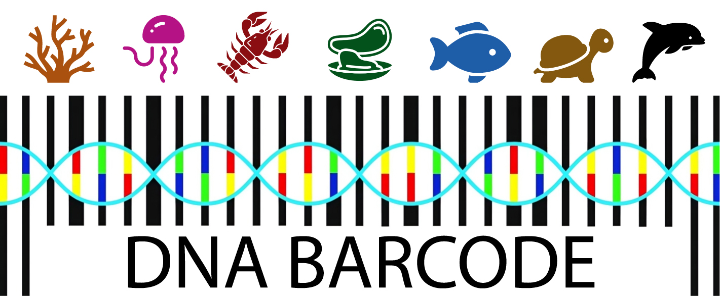 Freshwater Biodirectory of Bangladesh - Freshwater Biodiversity Portal ...